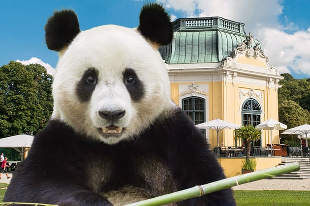 Schönbrunn Zoo Adventure Ticket: The combined ticket for train and ...