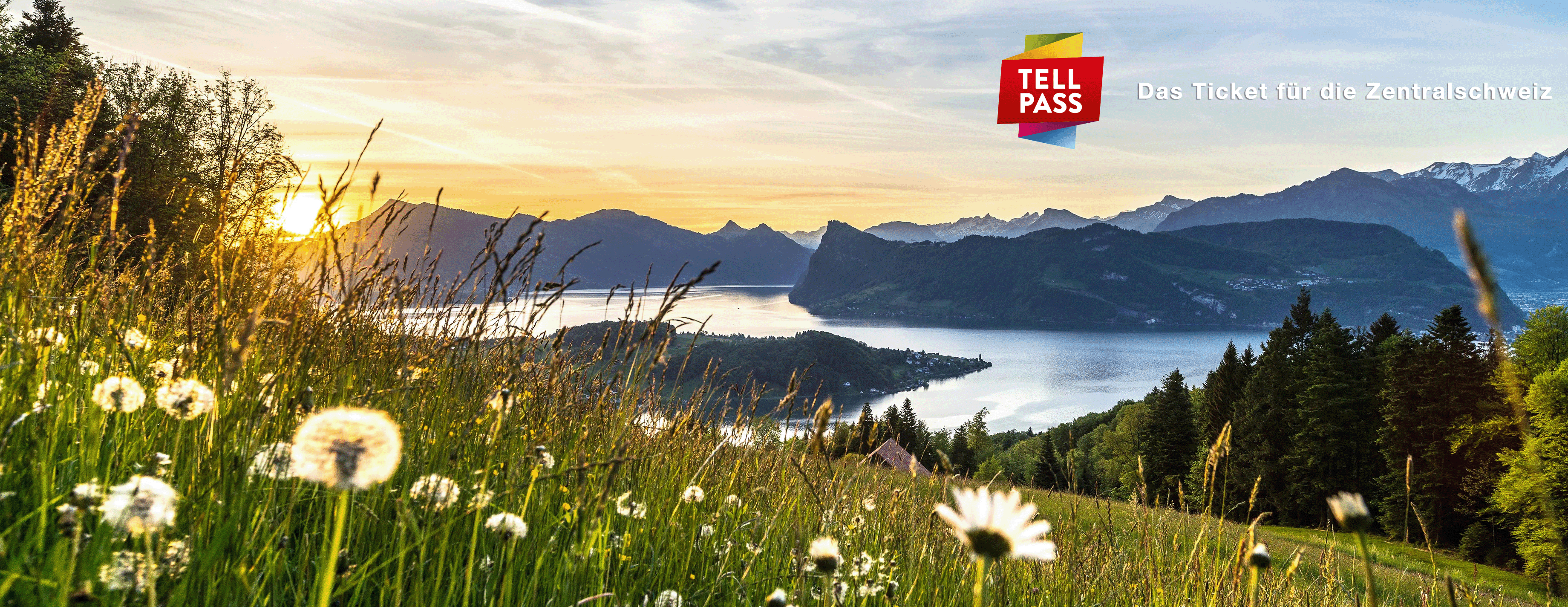 Lucerne-Lake Lucerne Region | Excursions | shop.luzern.com