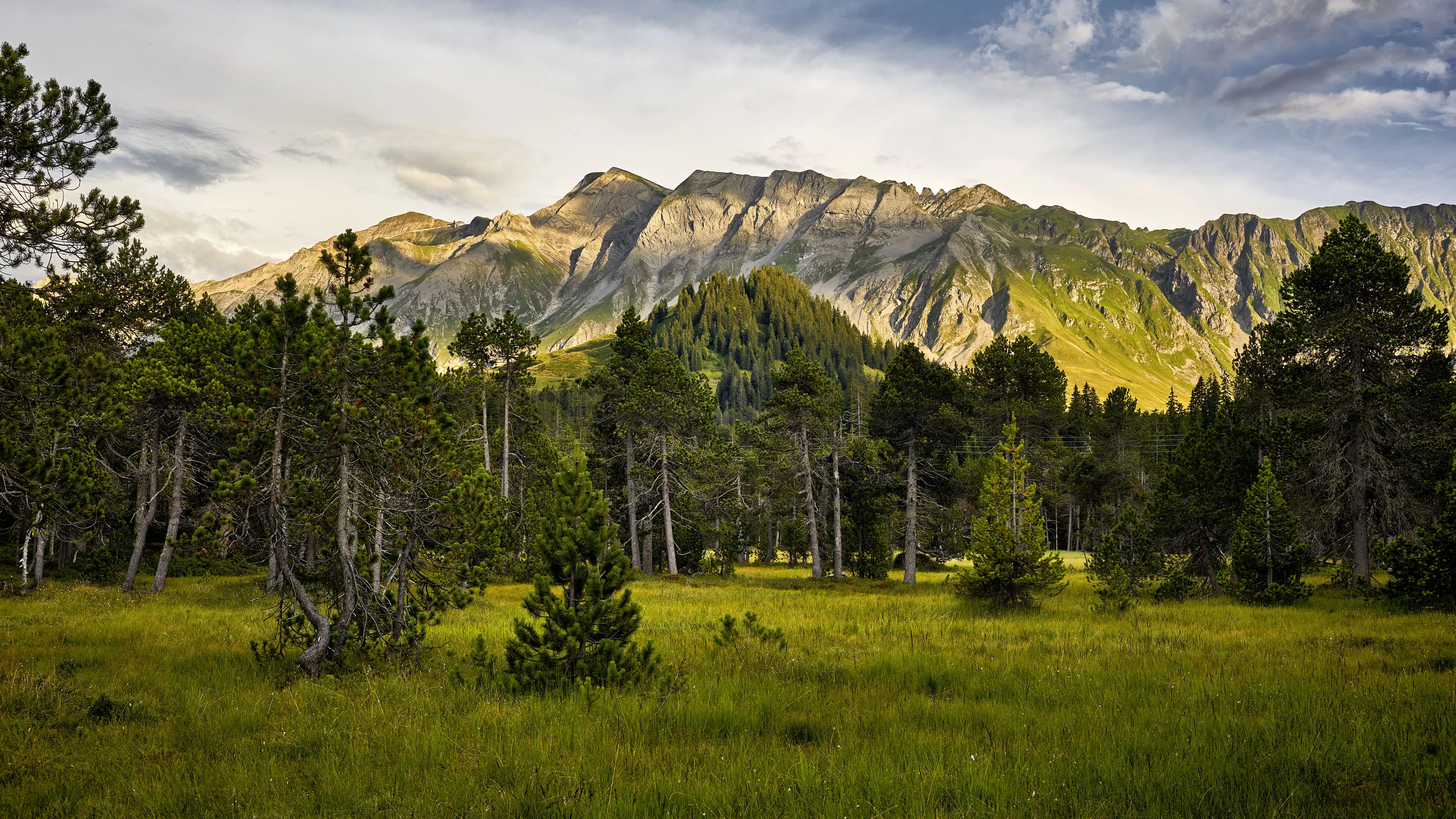 Tell-Pass Summer 4 Days