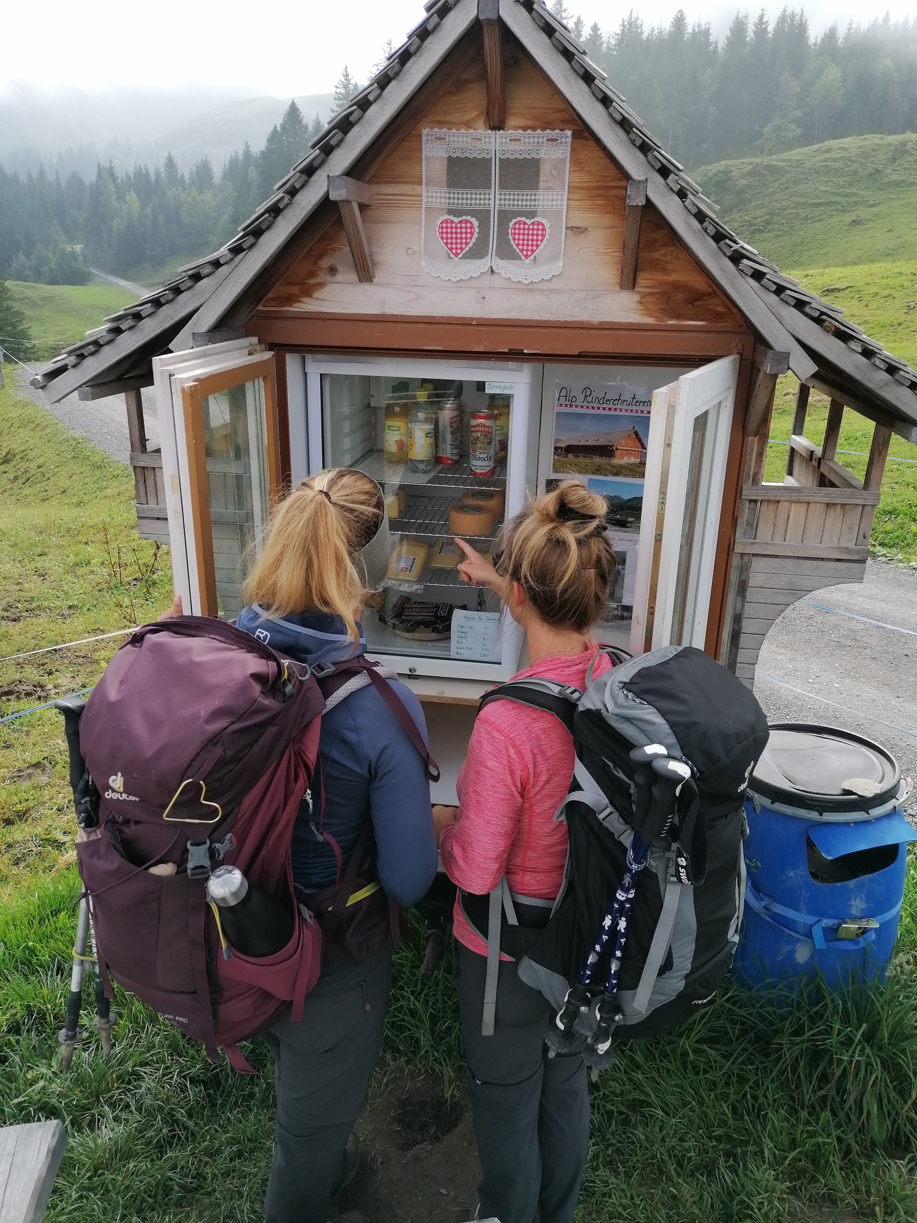 Top 5 Mount Stoos experiences