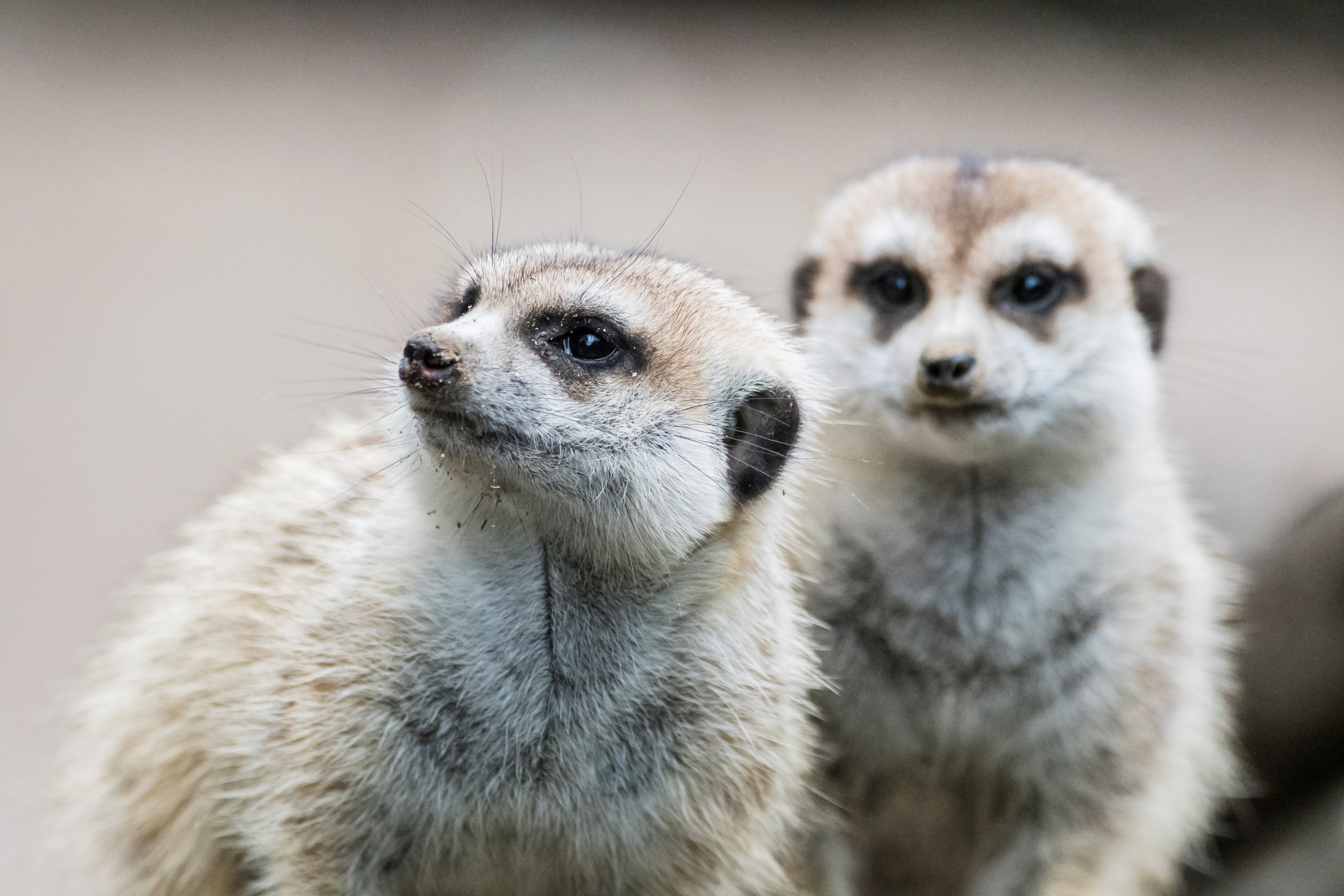 Zoo Basel für Gruppen